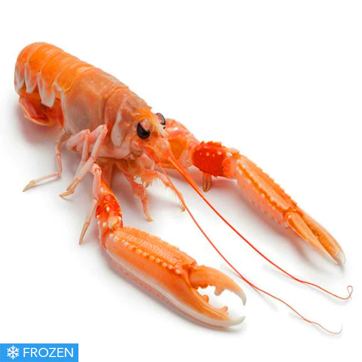 IQF Langoustine "Scampi" Denmark 'Giant Size' 1kg box 2-4pcs ...