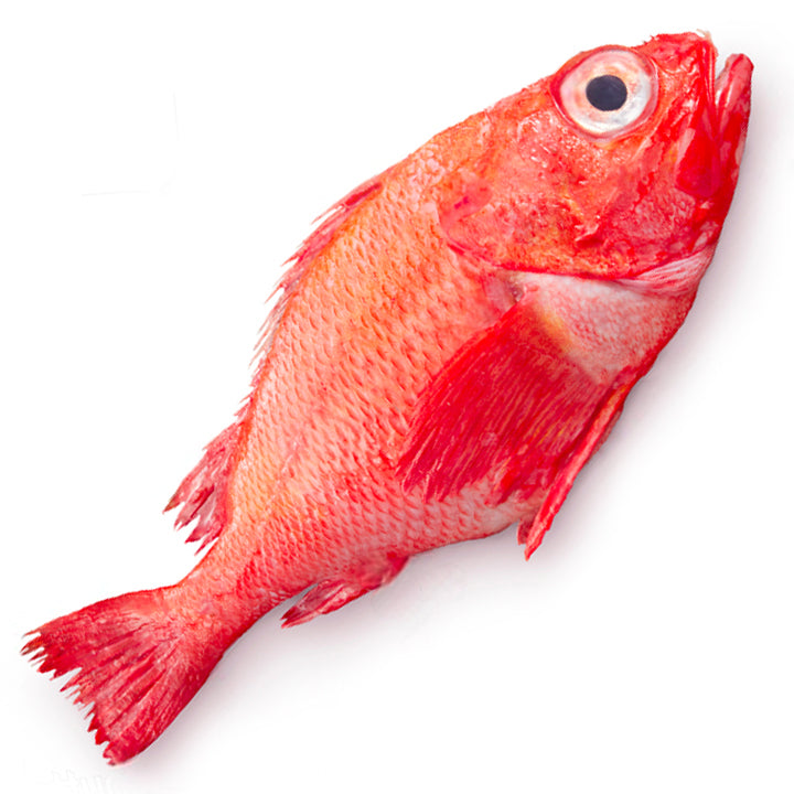 Fresh Wild Kinki Fish 450g – Simplyfresh HK